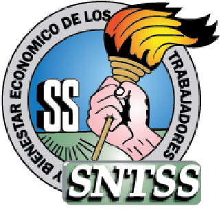 SNTSS - CEN | Plataforma Nacional